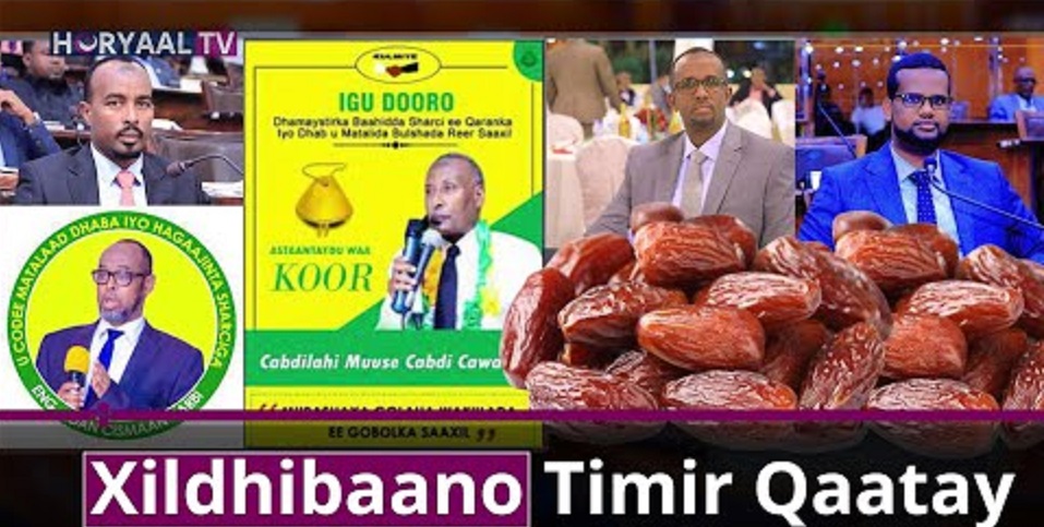 Xildhibaanno Qaatay Qandaraaska Timirta Ciidanka – somalilandtoday.com